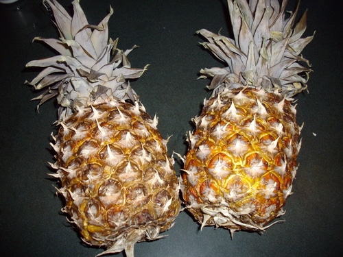 How to dry pineapple for your homemade trail mix | Joybilee® Farm | DIY ...