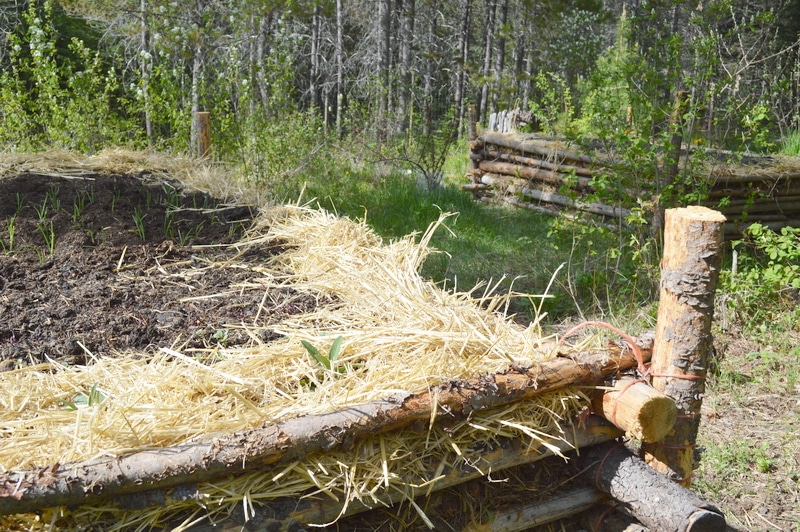 An improved hugelkultur bed for older homesteaders | Joybilee® Farm ...