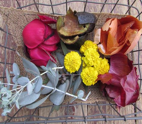 Gardening with natural dye plants? Find inspiration here. | Joybilee ...
