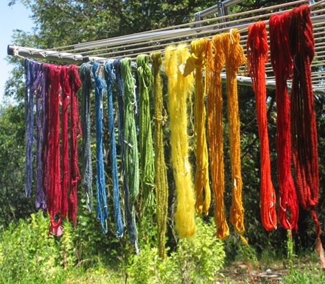 Gardening with natural dye plants? Find inspiration here. | Joybilee ...