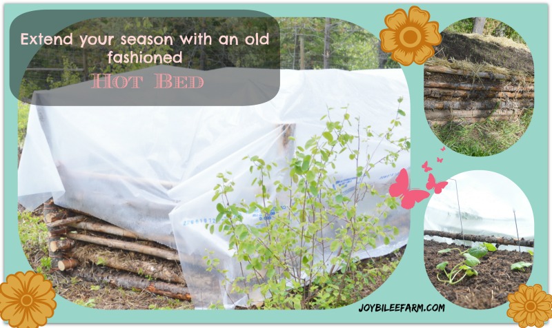 Extend your season with an old fashioned “Hot Bed” | Joybilee® Farm ...