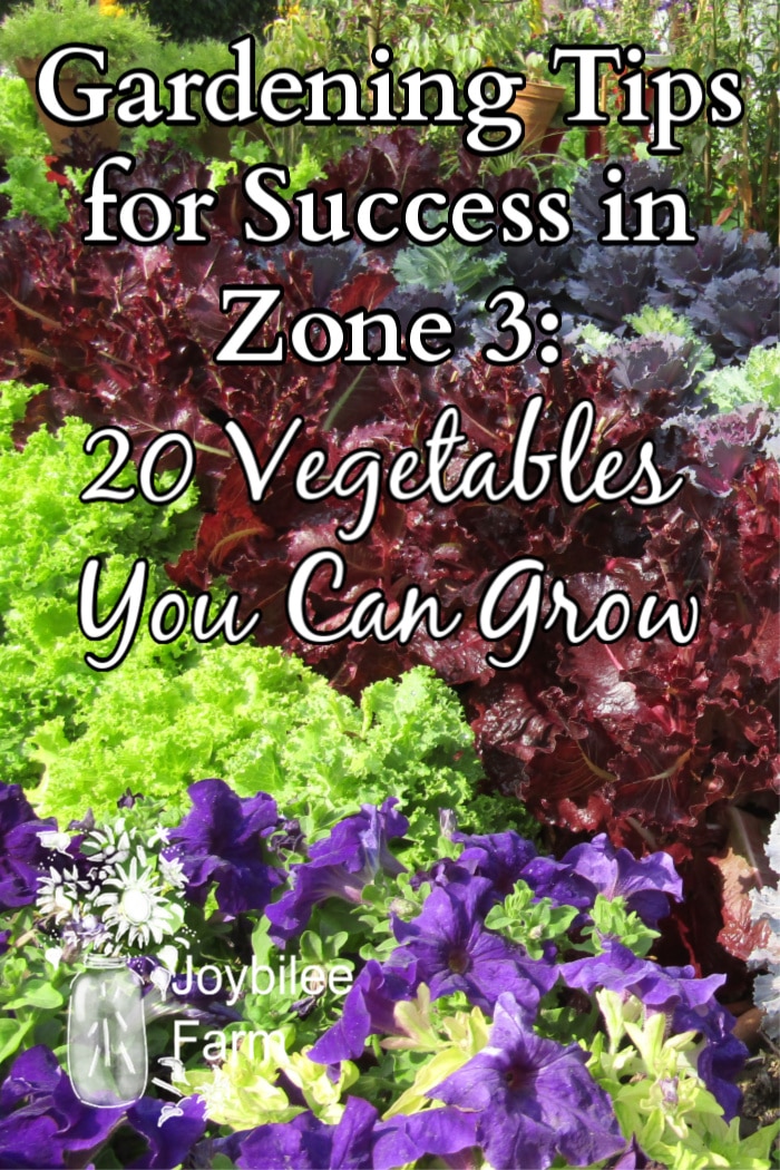 Gardening tips for zone 3: 20 vegetables you can grow
