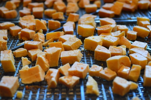 How to Dehydrate Cheese for Long Term Storage