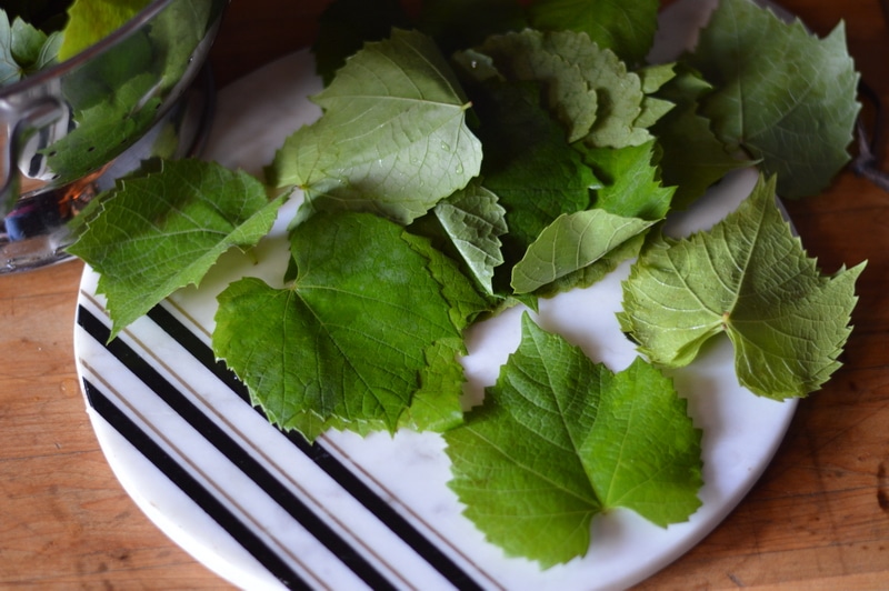 How to Ferment Grape Leaves and Eat Them in Winter | Joybilee® Farm ...