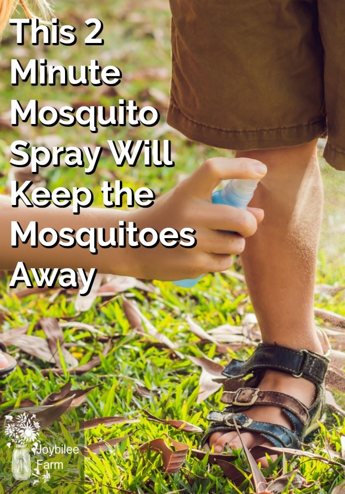 This 2 Minute Mosquito Spray Will Keep the Mosquitoes Away