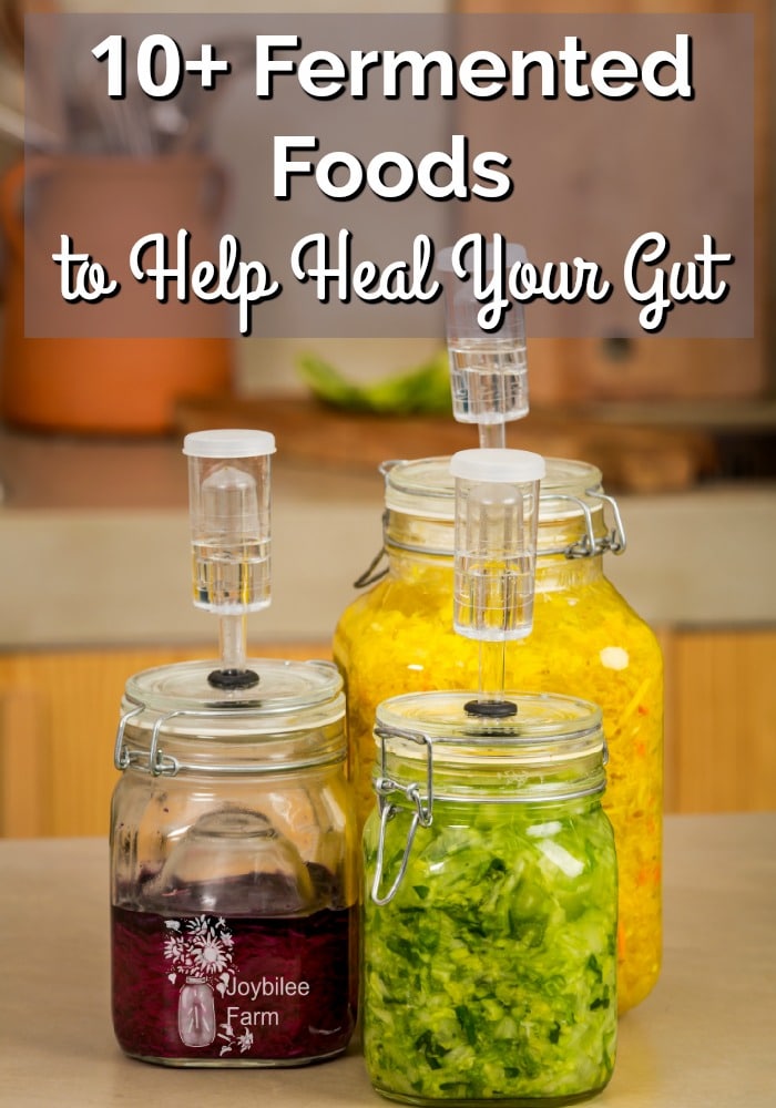 10+ Fermented Foods to Help Heal Your Gut | Joybilee® Farm | DIY ...