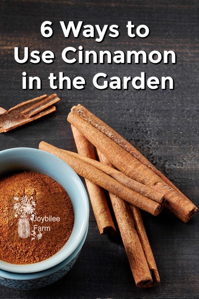 6 Ways to use Cinnamon in the Garden to Prevent Disease...