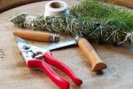 7 of the Best Gifts for Foragers that Won't Weigh You Down